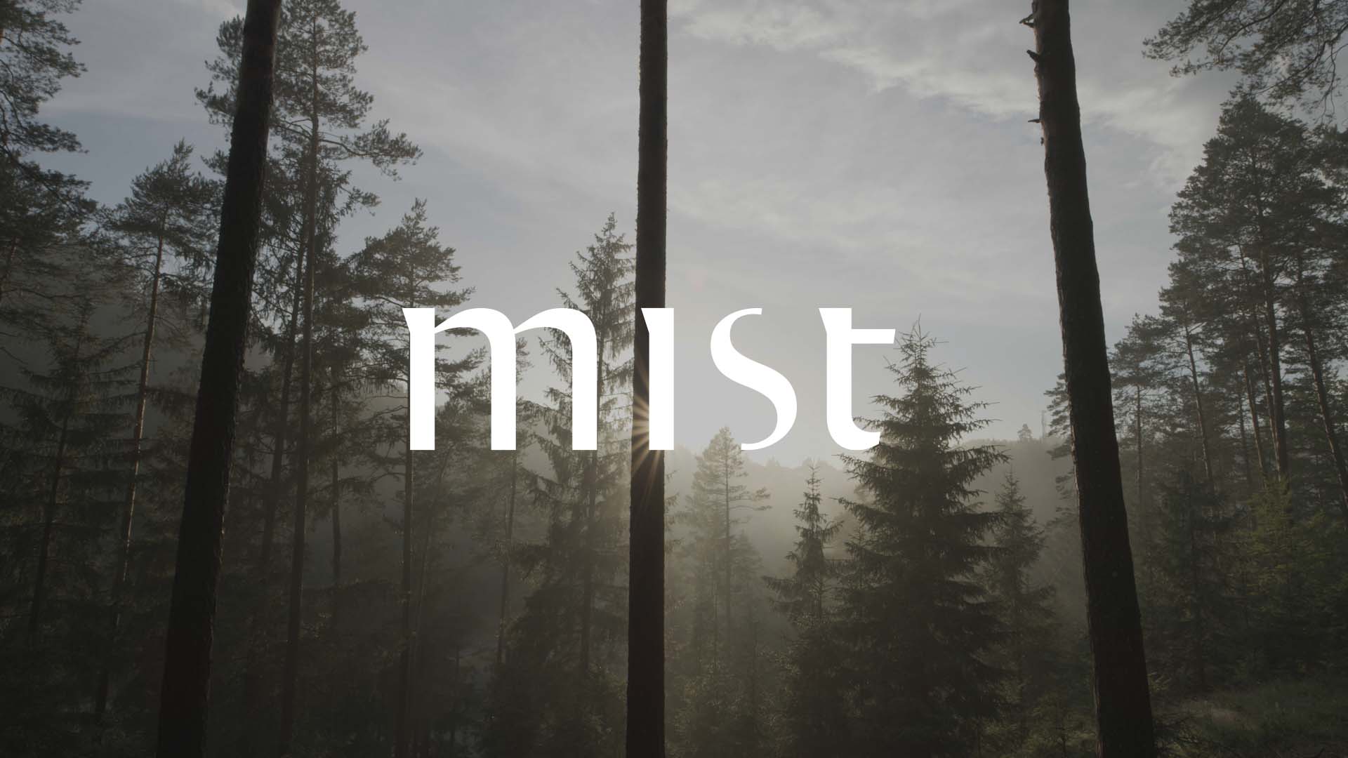 MUSEUM – Mist Collection - Museum